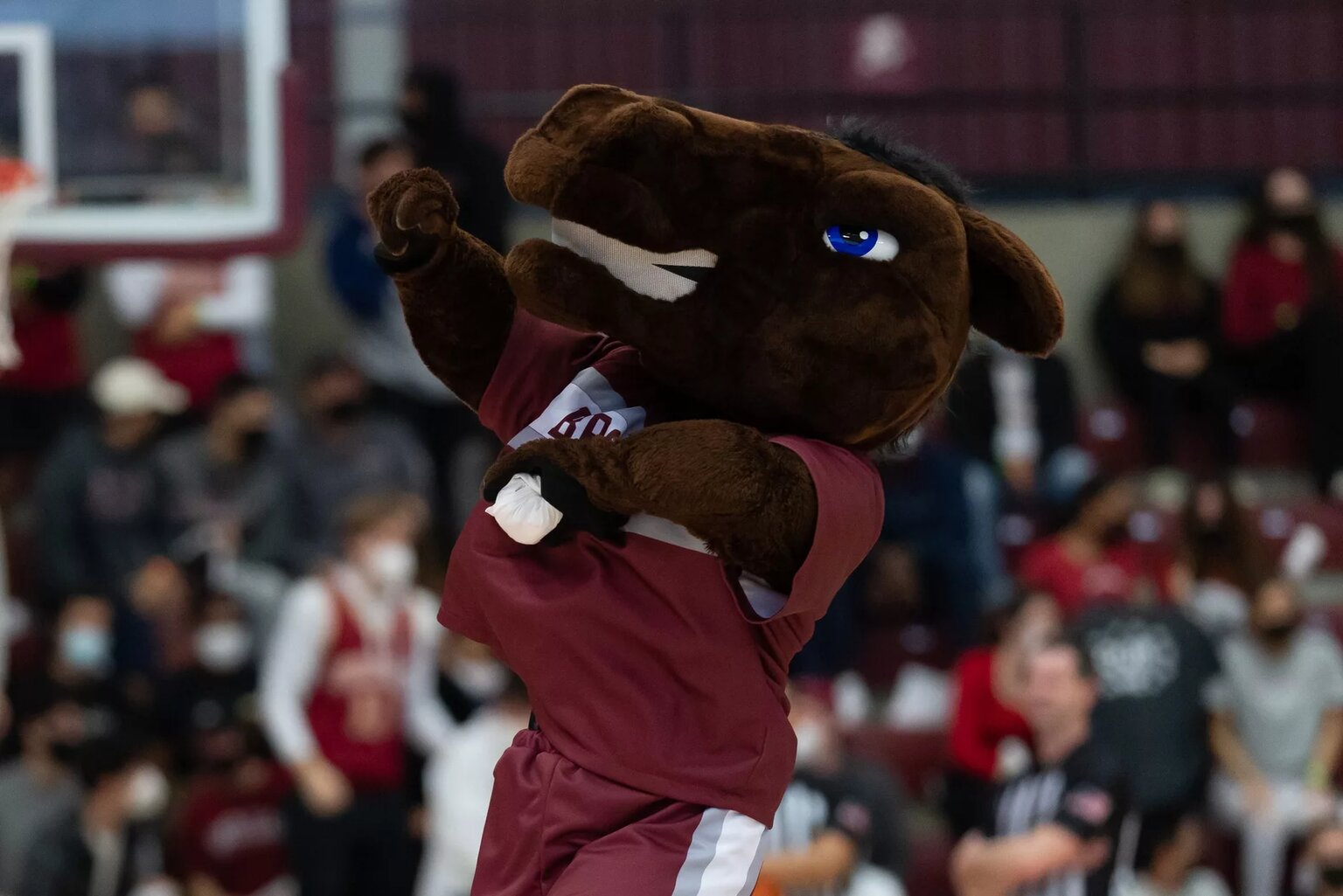 West Coast Conference Preview: Santa Clara Broncos
