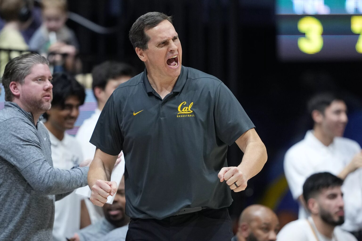 California Basketball Preview: Golden Bears Break Into ACC - Last Word ...