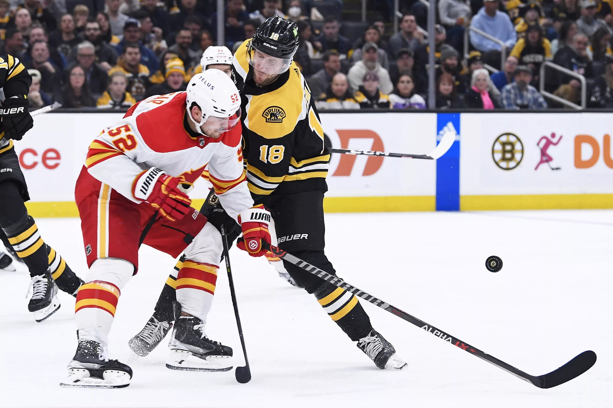 NHL Predictions Today: Game Summaries, Analysis, Odds l LWOH