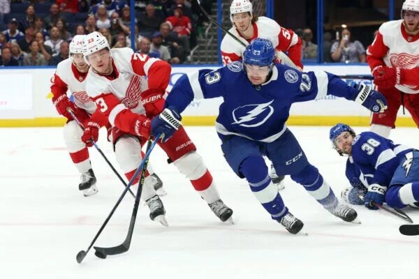 Making Sense of the Detroit Red Wings Defence Corps
