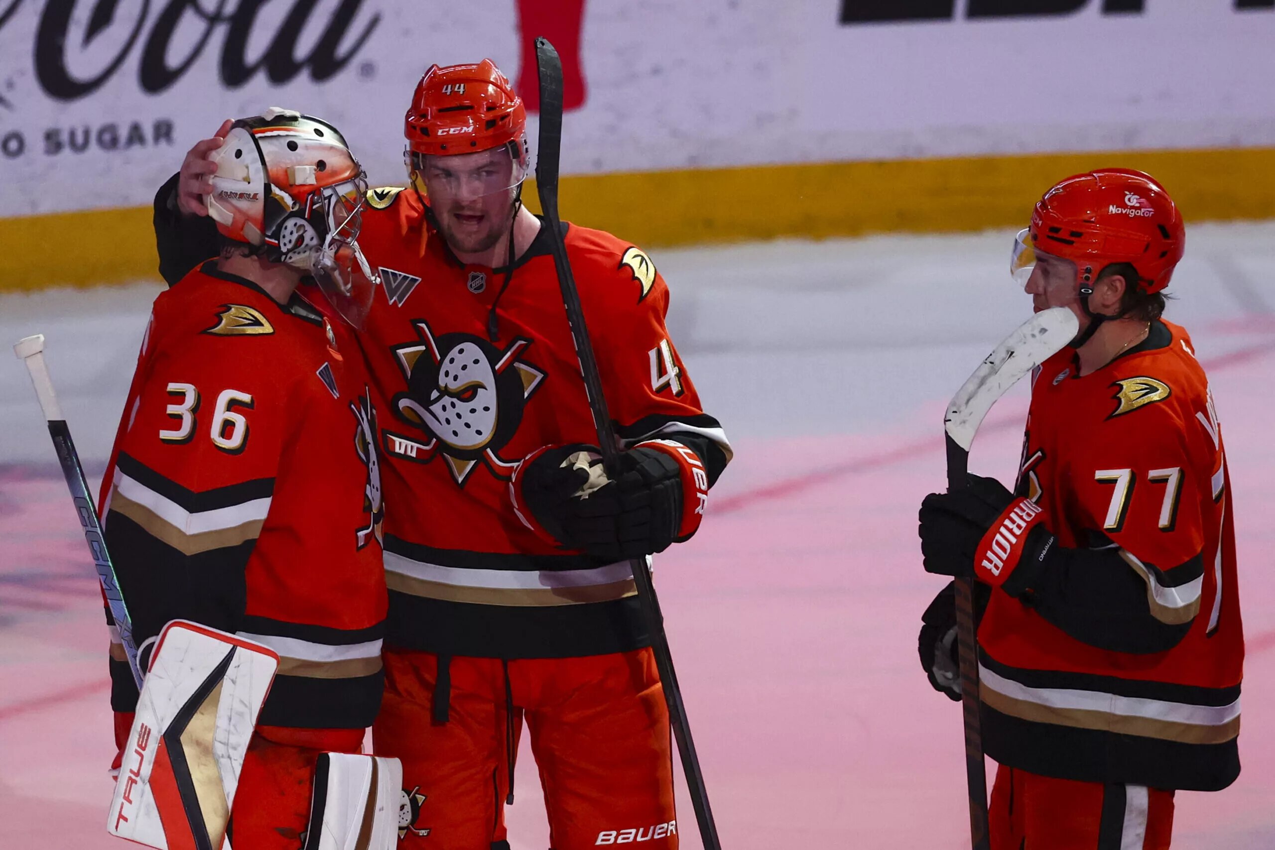 Anaheim Ducks Build Momentum with Key Wins