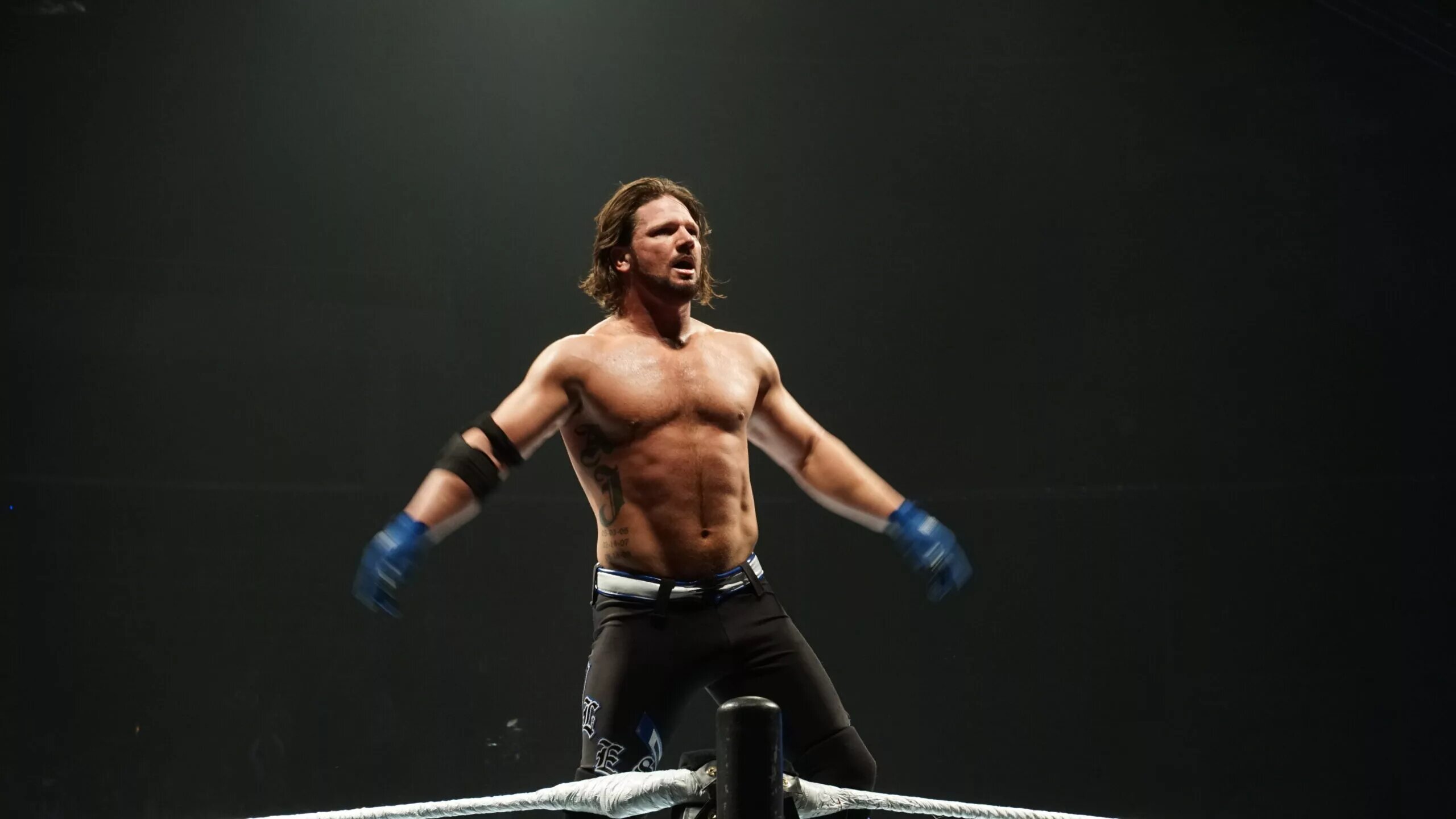 WWE Stars Who Deserve Their Own Retirement Tour - Last Word On Pro ...
