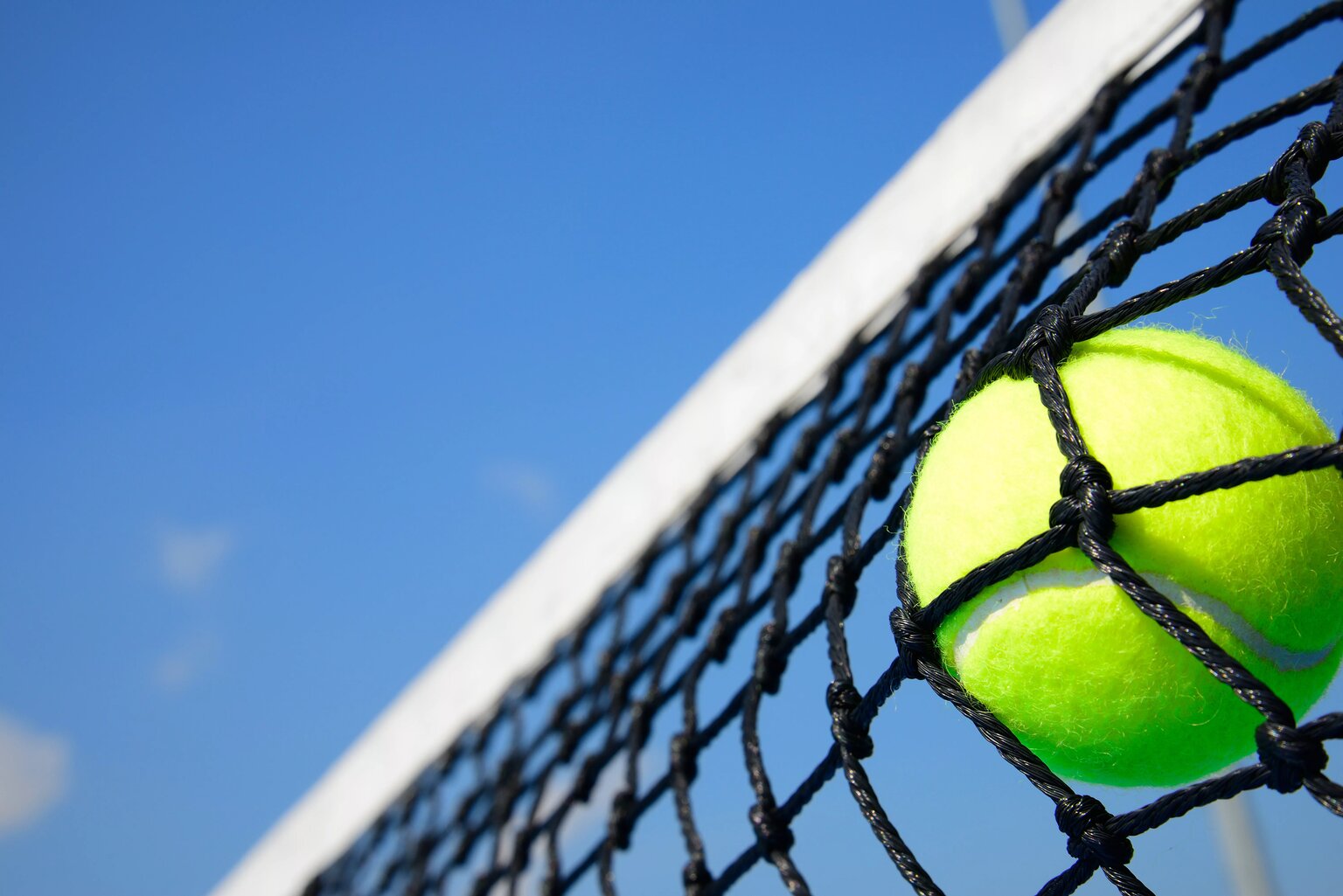 The PTPA Takes Bold Steps to Transform the Sport